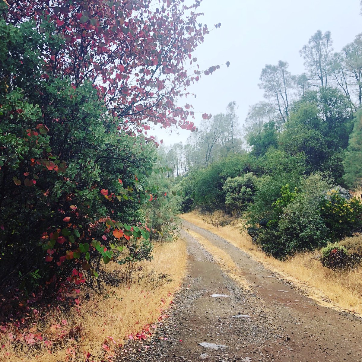 Acreage Property Roads What To Consider Advantage Appraisals
